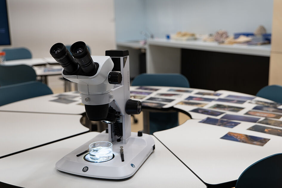 La Blue Academy, un terrain de jeu en faveur de l’océan - agglo ...